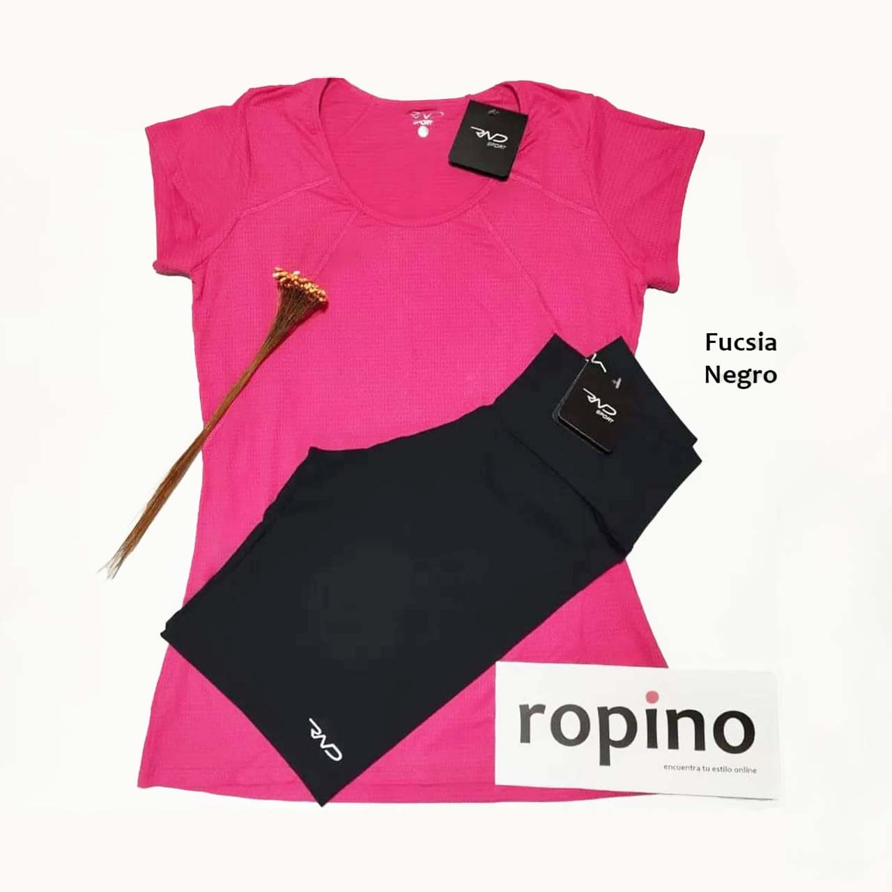 Rondina – Ropino